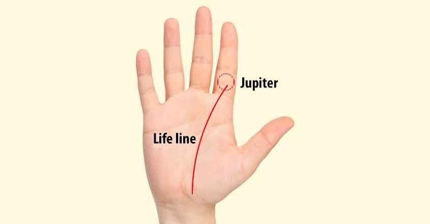 Palmistry: How does life line of a successful person look like ...