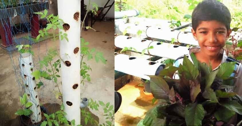Vegetables from discarded PVC pipes: Simi turns terrace her farm ...