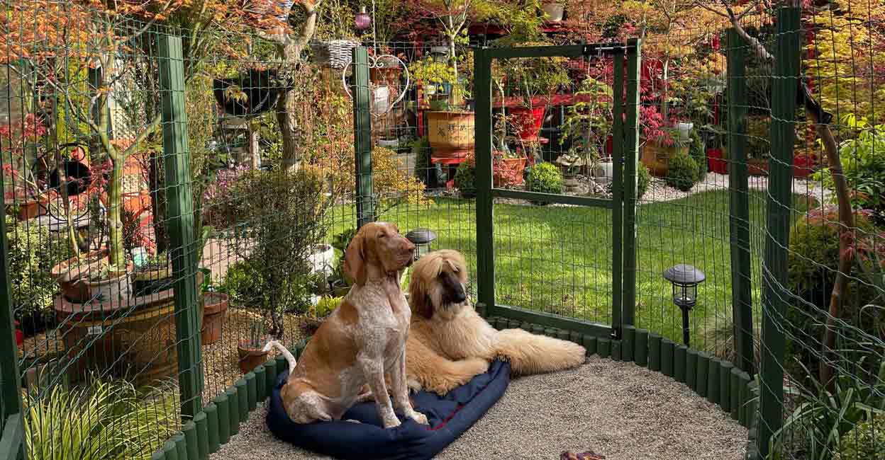 Meet Dr Thomas Jose, the man with the green thumb