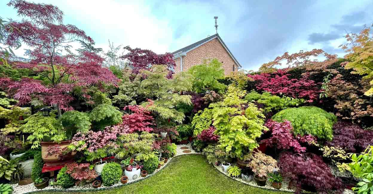 Meet Dr Thomas Jose, the man with the green thumb