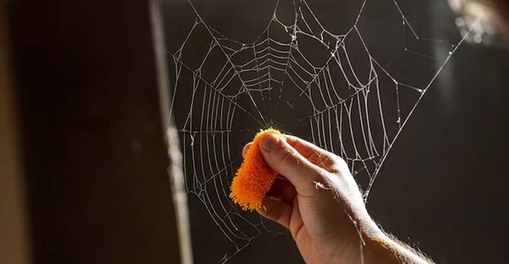 dusting the cobwebs off