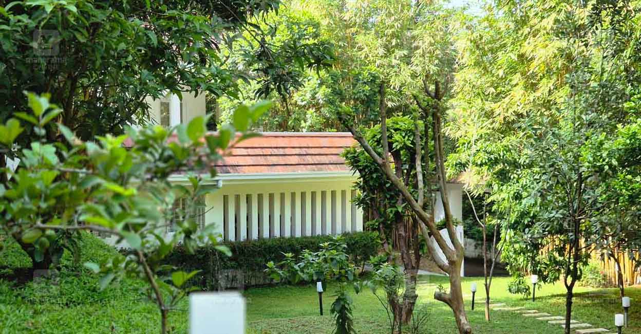 How actress Honey Rose set up an adoring White House amid greenery ...