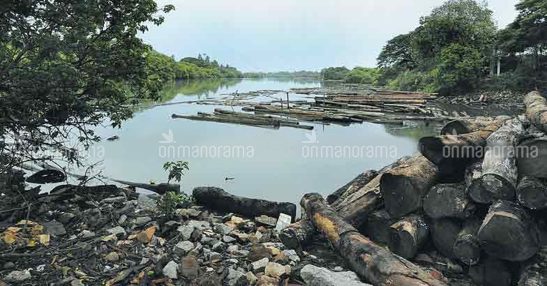 A call to revive the lost soul of Kallayi river