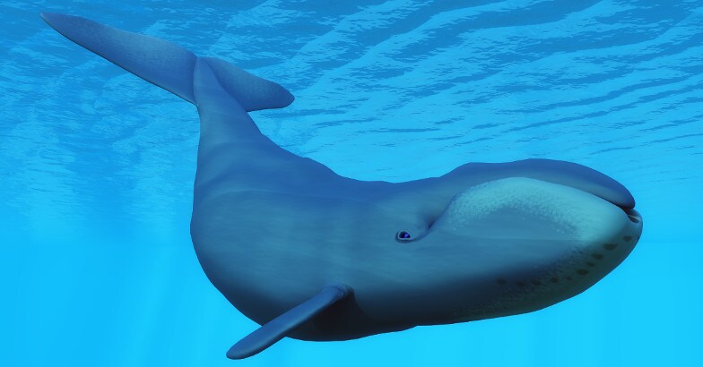 'Jazz musicians of the arctic', sing diverse mating songs | Bow head ...