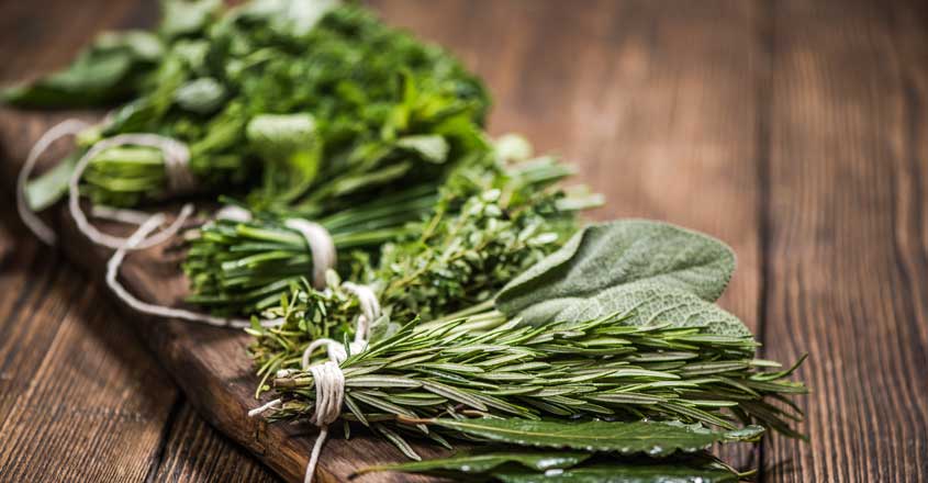 Ten types of leaves in your backyard that can boost your immunity ...