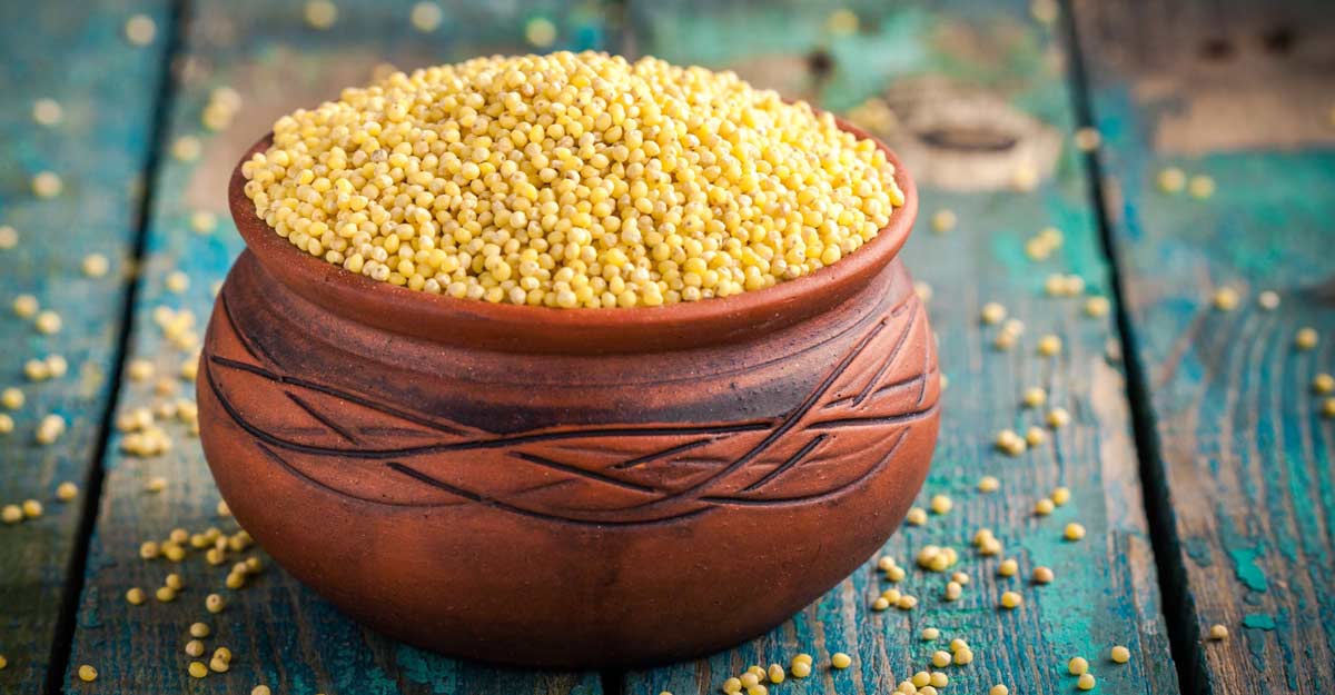 Coarse Grains And Millets Rich In Micronutrients Must For Balanced Diet Coarse Grains And Millets Rich In Micronutrients Must For Balanced Diet