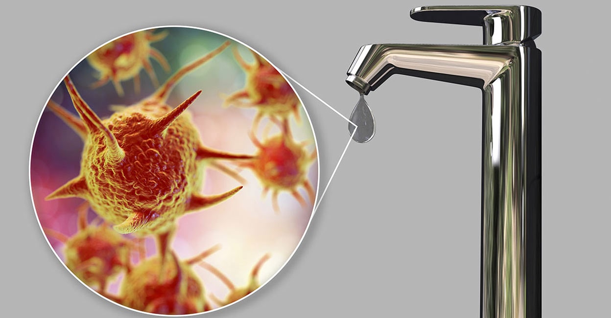 All about Naegleria fowleri, the deadly brain-eating amoeba lurking in ...