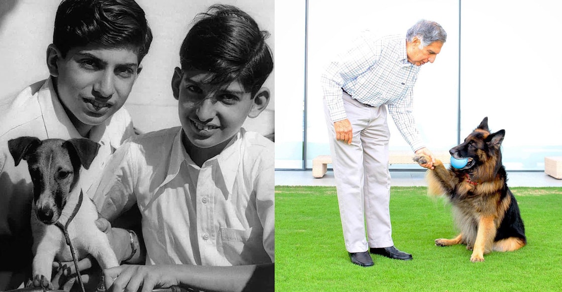Ratan Tata's death: How Tango and Tito were instrumental in him opening ...