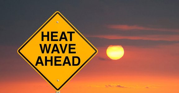 Kerala's heatwave: How to stay cool and safe? Doctor explains | Health ...