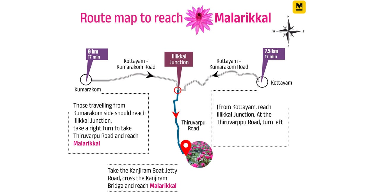Malarikkal: All you need to know about Kerala's water lily village ...