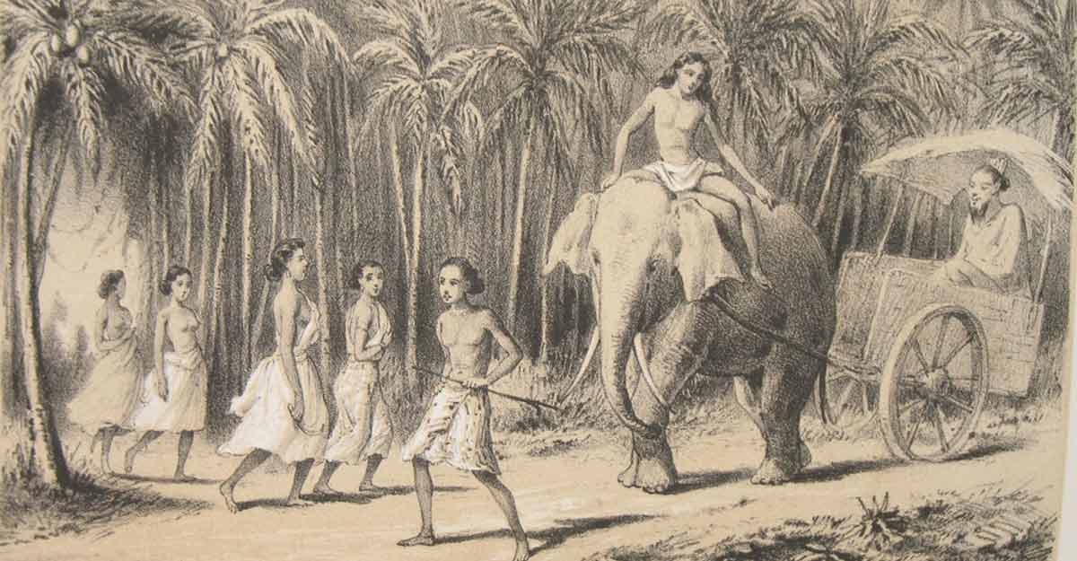 Column | A Russian prince in Travancore | Manorama English