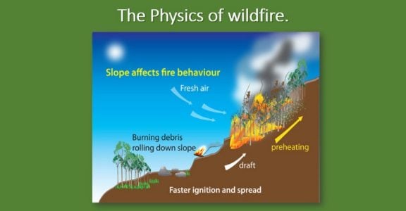 The fascinating science of forest fires, survival tips