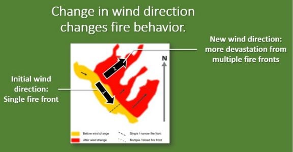 The fascinating science of forest fires, survival tips