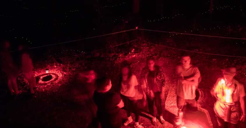 World's most spectacular blink-in-sync feat of fireflies begins ...