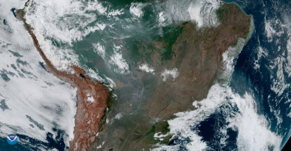 Why is Amazon burning? | Environment News | Manorama English