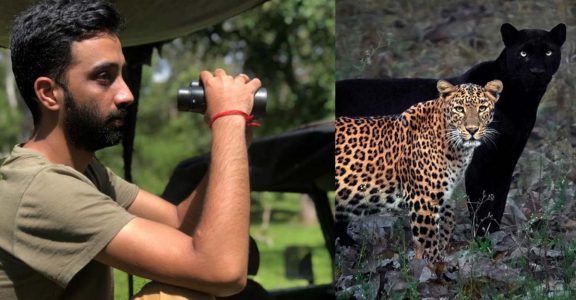 Leopardess, black panther came in one frame after 6-day long wait ...