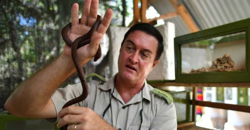 Why are Kenyans rearing poisonous snakes? | Lifestyle News | English ...