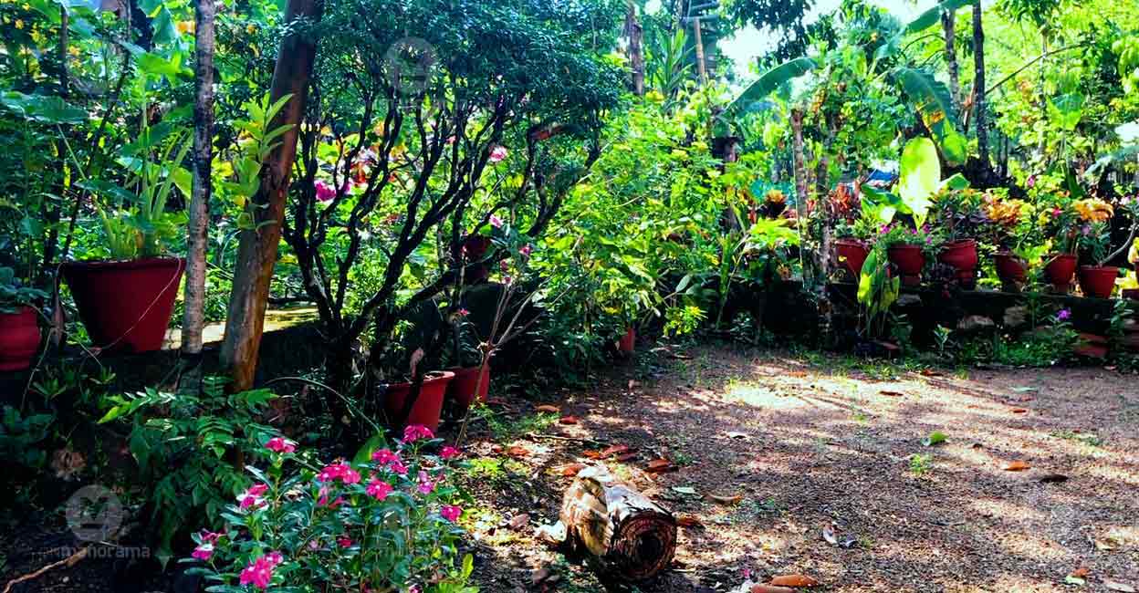 From handbags to wardrobes, Leelamma turns Milma packs into household ...