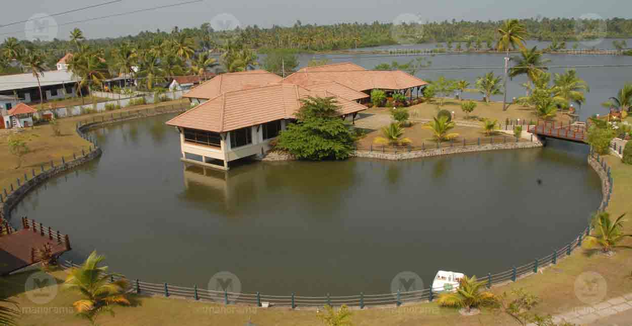 By Choice: How Jose Thomas scripted a success story for Choice group ...