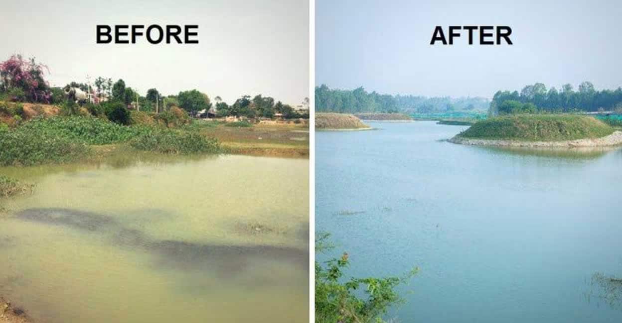 Meet India’s ‘Lake Man’, a Bengaluru-based mechanical engineer on lake ...