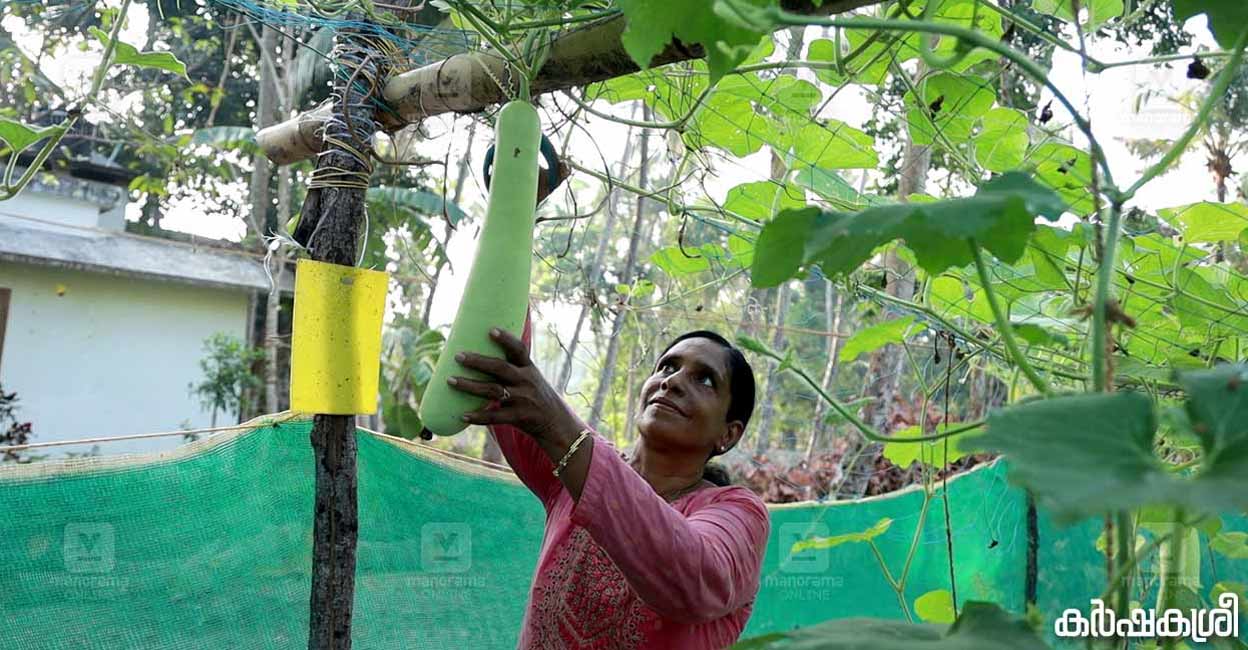 One-woman brigade in pursuit of excellence in farming | Lifestyle News ...