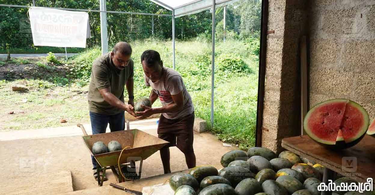 Here's how software engineer-turned farmer gets windfall through ...