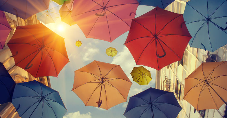 Karthumbi: Attapadi-brand umbrella gets a thumbs up from Kerala techies