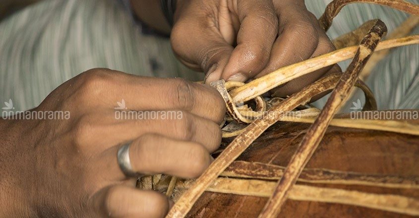Palakkad’s Peruvemba village: A 200-year legacy in percussion ...