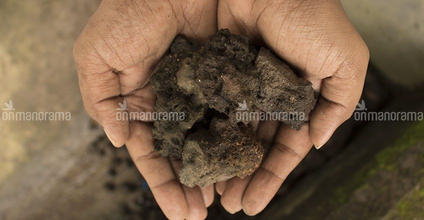 Palakkad’s Peruvemba village: A 200-year legacy in percussion ...