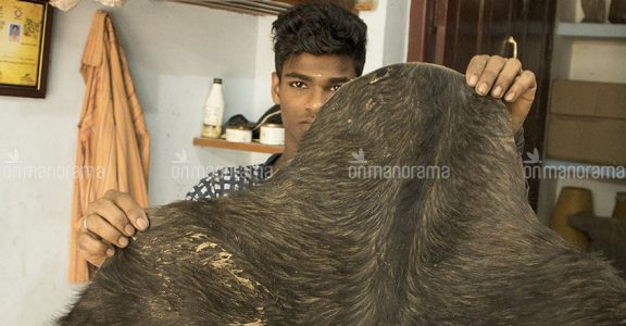 Palakkad’s Peruvemba village: A 200-year legacy in percussion ...