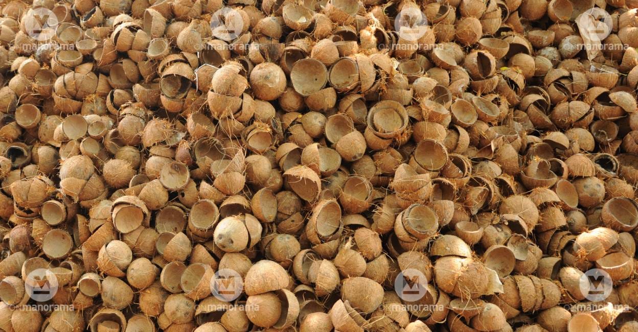 Three years after launch, 'Thenga' goes global as Kerala startup gains ...