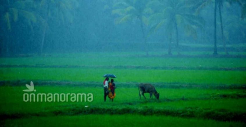 EXPLAINED: The Monsoon effect and its overwhelming impact