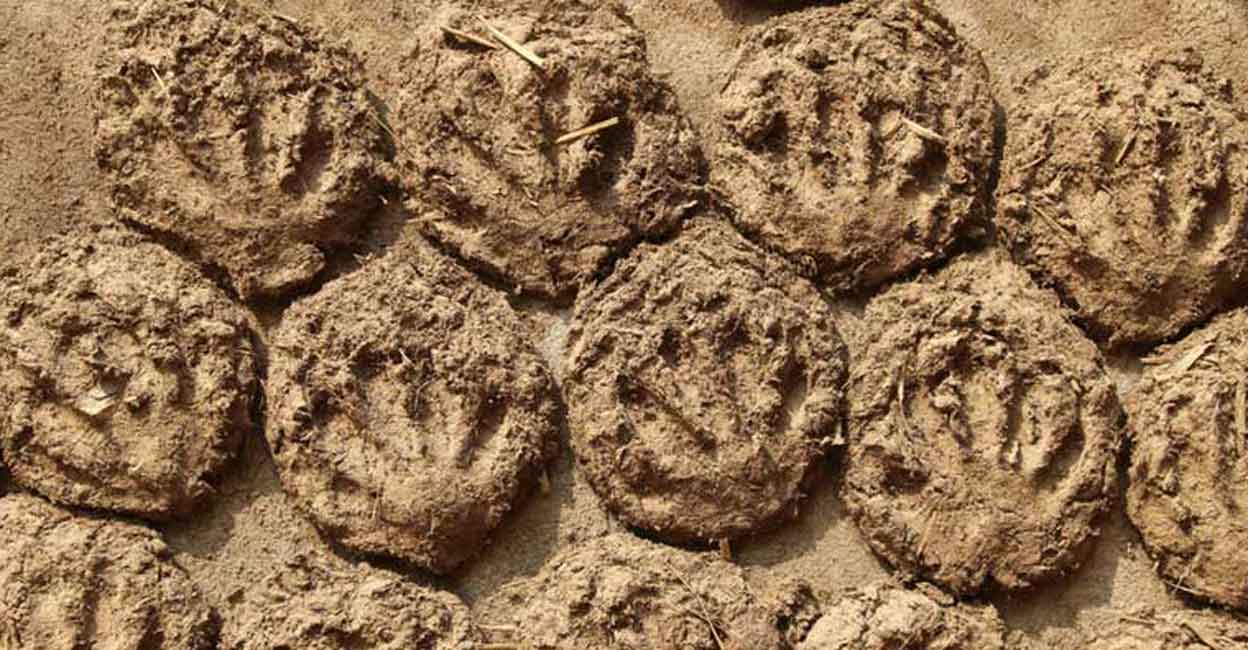 House made of cow dung can protect against atomic radiation, observes ...