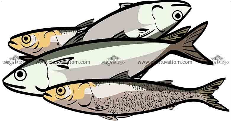 These fish vendors just loved Cyclone Ockhi. Wonder why? | Kerala News ...