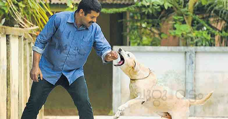 An unbreakable man-canine bond that created history | Video | dog in ...