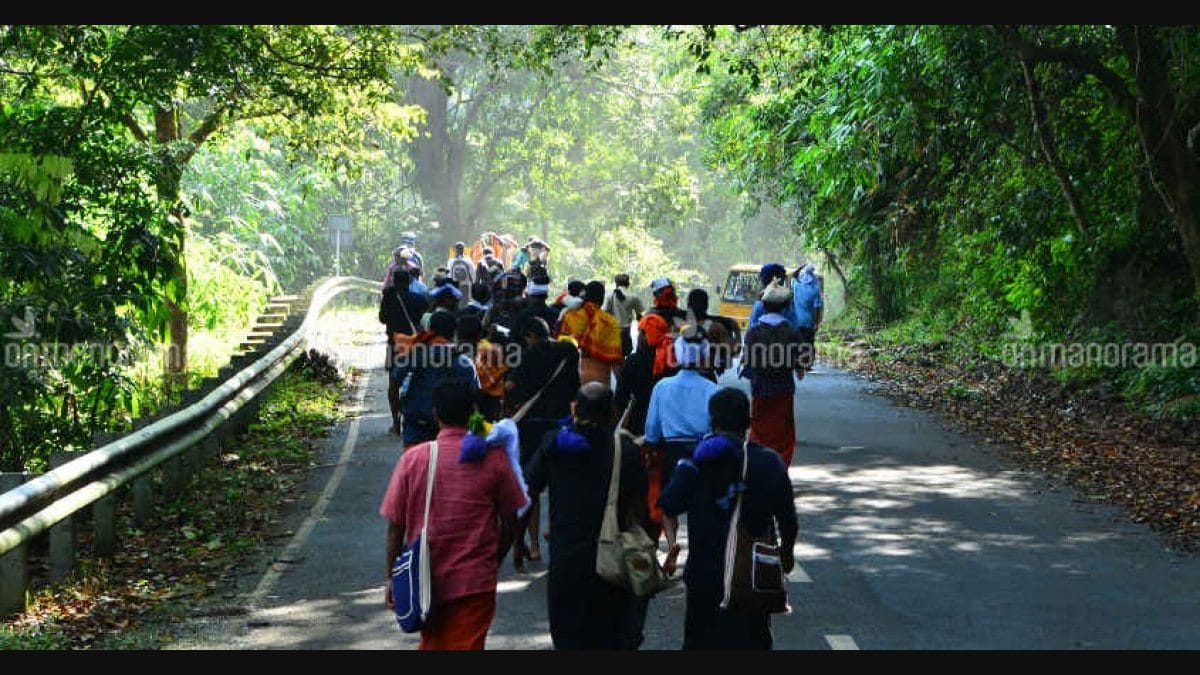 Sabarimala Temple Forest