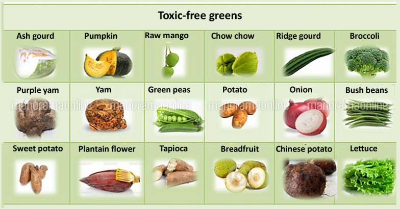 From mint leaves to curry leaves, your shopping cart is full of ...