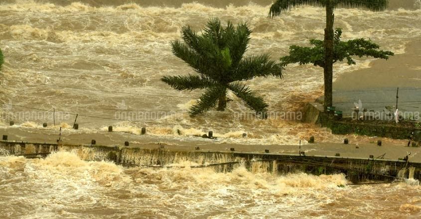 Flood-ravaged Cheruthoni bridge to get major makeover