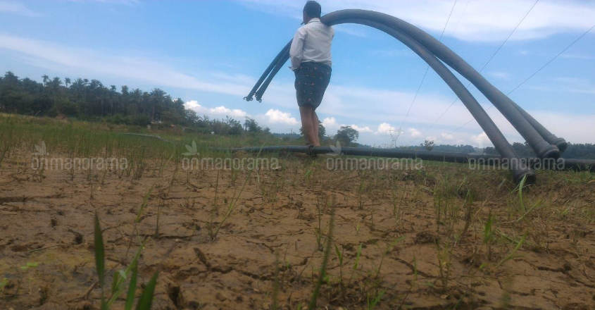 Intense rain, rising heat may wreck agrarian economy of Wayanad ...