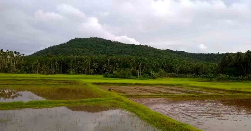 Ground report: In Kozhikode’s Kottur panchayat, all parties promise to ...
