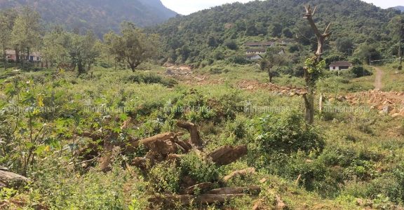 Ground report: In Wayanad’s landslide-hit Puthumala, home for victims ...