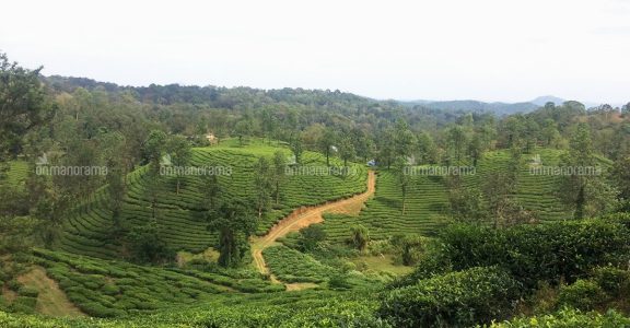 Ground report: In Wayanad’s landslide-hit Puthumala, home for victims ...
