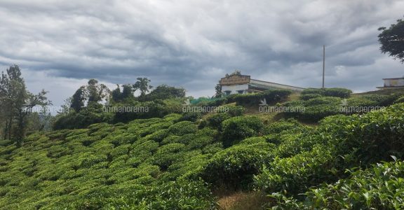 Ground report: In Wayanad’s landslide-hit Puthumala, home for victims ...