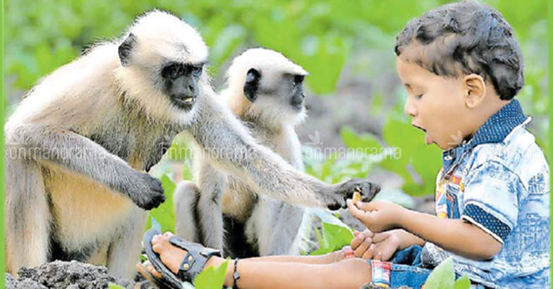 Simians are no monkey business for Karnataka's Mowgli boy | Mowgli boy ...