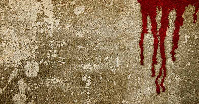 Man held for rape-murder of 60-year-old widow | Rape murder ...