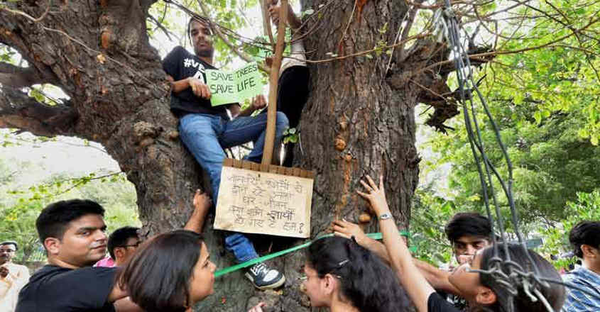 Green panel stays felling of trees in south Delhi till July 19 | Delhi ...