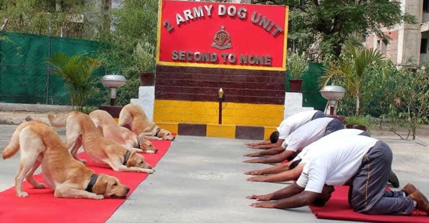 Rahul tweets Army dog squad pic with 'New India' caption, BJP hits out ...