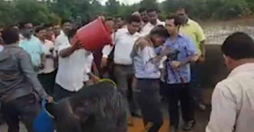 Congress MLA Nitesh Rane in custody for pouring mud on engineer | India ...