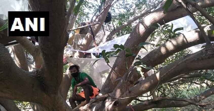 Returned migrant labourers asked to stay atop trees during quarantine ...