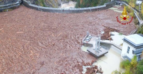 Italian storms claim 17 lives, 14 million trees | Italy